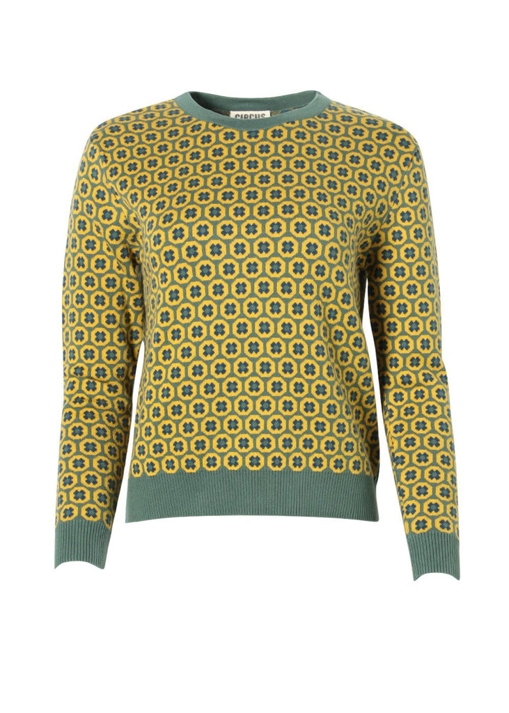 Circus sweater dark ivy/pansie pattern CK79 – Hippe-Dingen